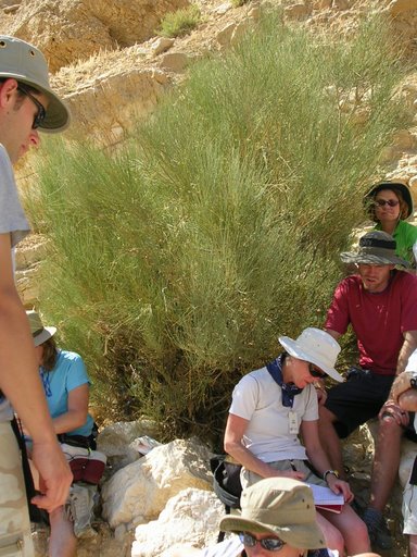 What does a broom tree look like? – La Vista Church of Christ
